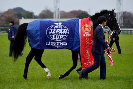 Equinox (JPN) - Horse Profile - BloodHorse