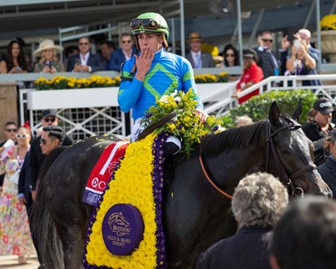 Goodnight Olive - Horse Profile - BloodHorse