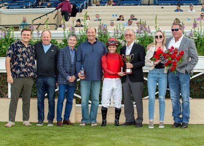 Dandy Man Shines (IRE) - Horse Profile - BloodHorse