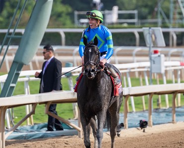 Goodnight Olive - Horse Profile - BloodHorse