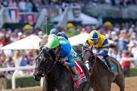 Goodnight Olive - Horse Profile - BloodHorse