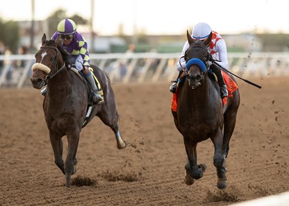 Mr Fisk - Horse Profile - BloodHorse