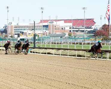 Mystik Dan - Horse Profile - BloodHorse