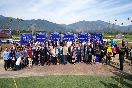 Goodnight Olive - Horse Profile - BloodHorse