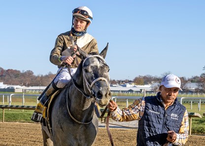 Post Time - Horse Profile - BloodHorse