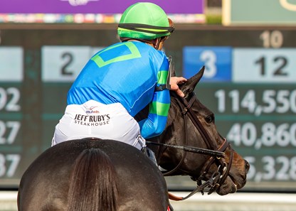 Goodnight Olive - Horse Profile - BloodHorse