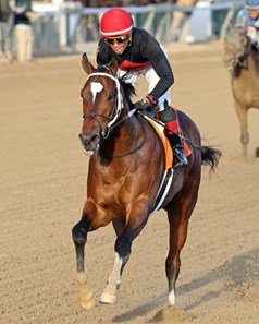Track Phantom - Horse Profile - BloodHorse