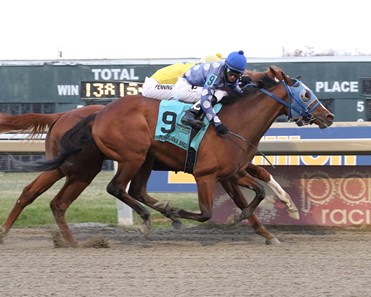 Capo - Horse Profile - BloodHorse