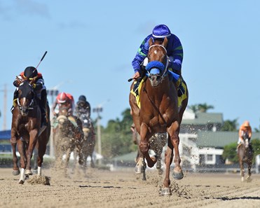 Roar Ready - Horse Profile - BloodHorse