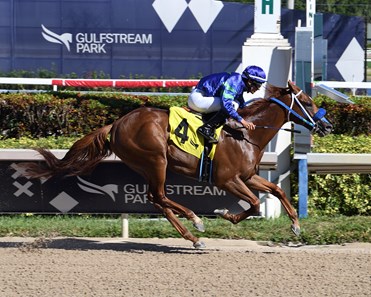 Roar Ready - Horse Profile - BloodHorse