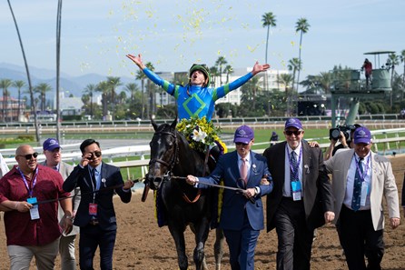 Goodnight Olive - Horse Profile - BloodHorse