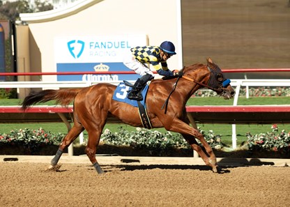 Pilot Commander - Horse Profile - BloodHorse