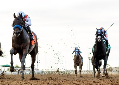 Mr Fisk - Horse Profile - BloodHorse