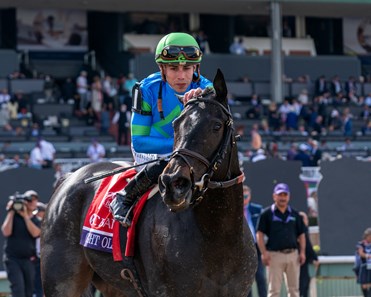 Goodnight Olive - Horse Profile - BloodHorse