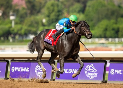 Goodnight Olive - Horse Profile - BloodHorse