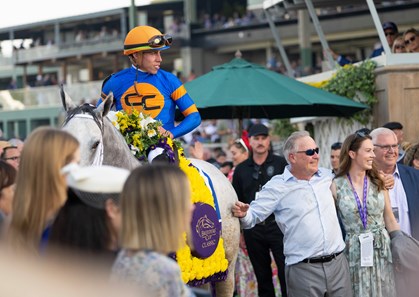 White Abarrio - Horse Profile - BloodHorse