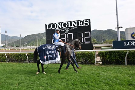 Junko (GB) - Horse Profile - BloodHorse