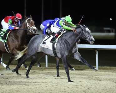 Oh Really - Horse Profile - BloodHorse