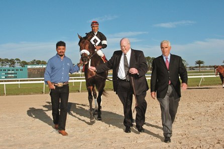 Sun King - Horse Profile - BloodHorse