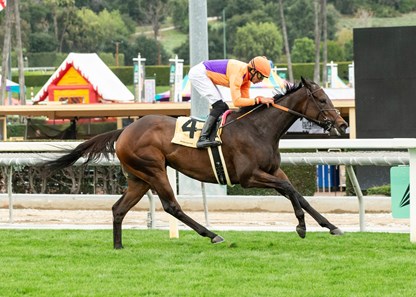 Ruby Nell - Horse Profile - BloodHorse