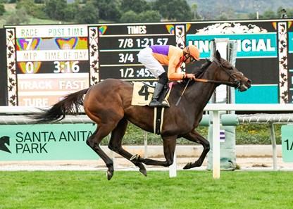 Ruby Nell - Horse Profile - BloodHorse