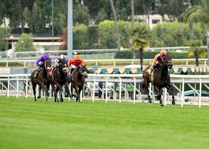 Ruby Nell - Horse Profile - BloodHorse