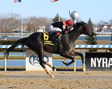 Doc Sullivan - Horse Profile - BloodHorse