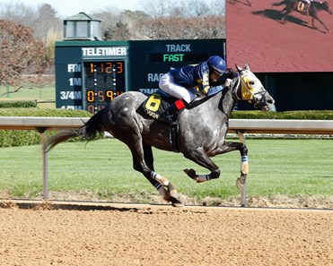 We Miss Arlington - Horse Profile - BloodHorse