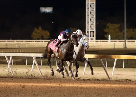 Otto the Conqueror Triumphant in Springboard Mile - BloodHorse
