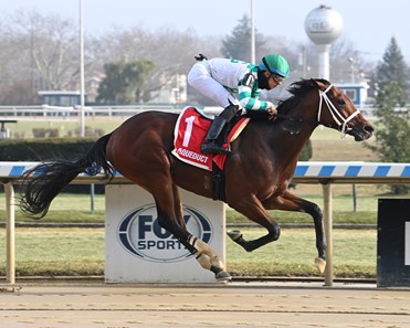 El Capi - Horse Profile - BloodHorse