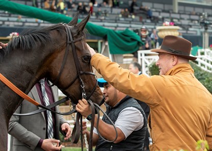 Ruby Nell - Horse Profile - BloodHorse