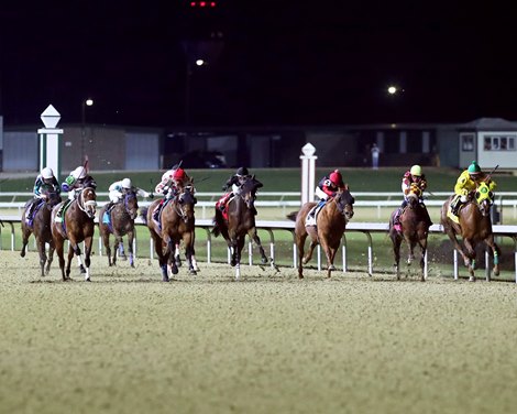 BH Survey: Industry Panel Discusses Racing Calendar - BloodHorse