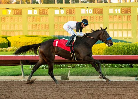 Nothing Like You, Kopion Battle in Las Virgenes - BloodHorse