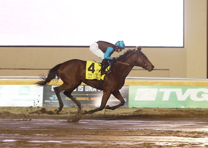 Miss Code West - Horse Profile - BloodHorse