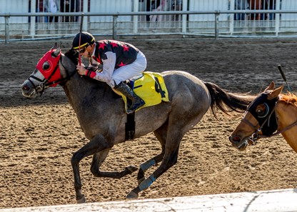 Stovall - Horse Profile - BloodHorse