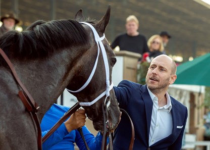 Lord Bullingdon - Horse Profile - BloodHorse
