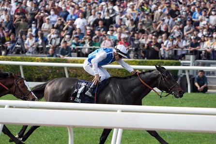 Junko (GB) - Horse Profile - BloodHorse