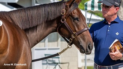 Beyond the Headlines: Scott Heider - Video - - BloodHorse