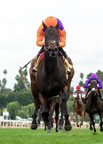 Ruby Nell - Horse Profile - BloodHorse