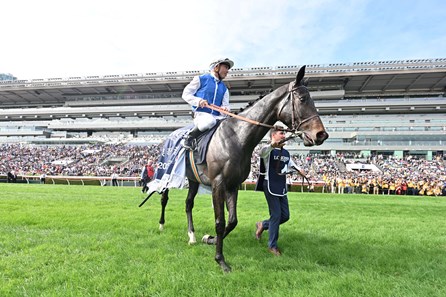 Junko (GB) - Horse Profile - BloodHorse