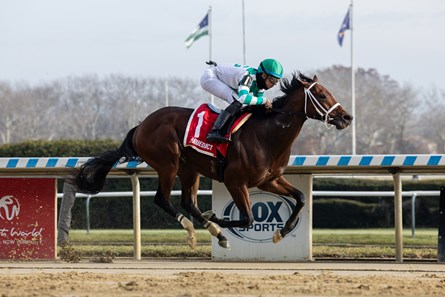 El Capi - Horse Profile - BloodHorse