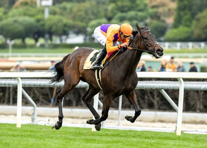 Ruby Nell - Horse Profile - BloodHorse