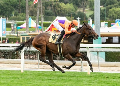 Ruby Nell - Horse Profile - BloodHorse