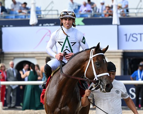 Pletcher: Speak Easy Will Run in Fountain of Youth - BloodHorse