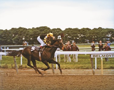 Seattle Slew - Slideshow - BloodHorse