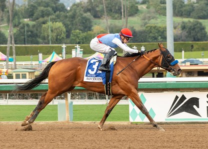 Muth - Horse Profile - BloodHorse