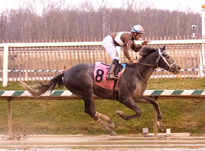 Post Time - Horse Profile - BloodHorse