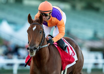 Kopion - Horse Profile - BloodHorse