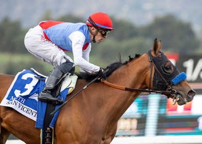 Muth - Horse Profile - BloodHorse