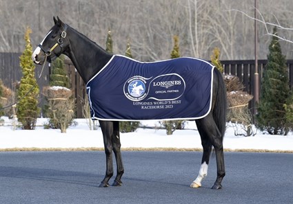 Equinox (JPN) - Horse Profile - BloodHorse